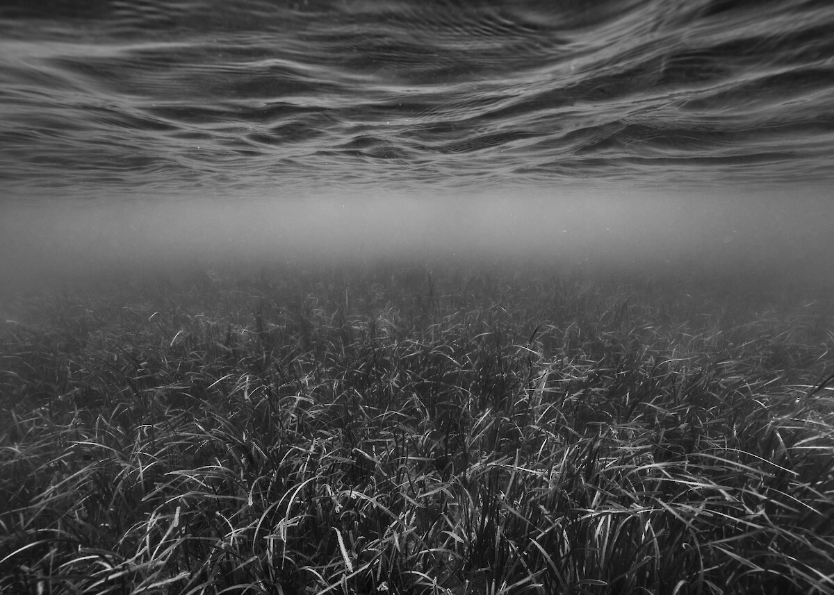 Nicolas Floc'h | Initium Maris | Passerelle, centre d’art contemporain ...